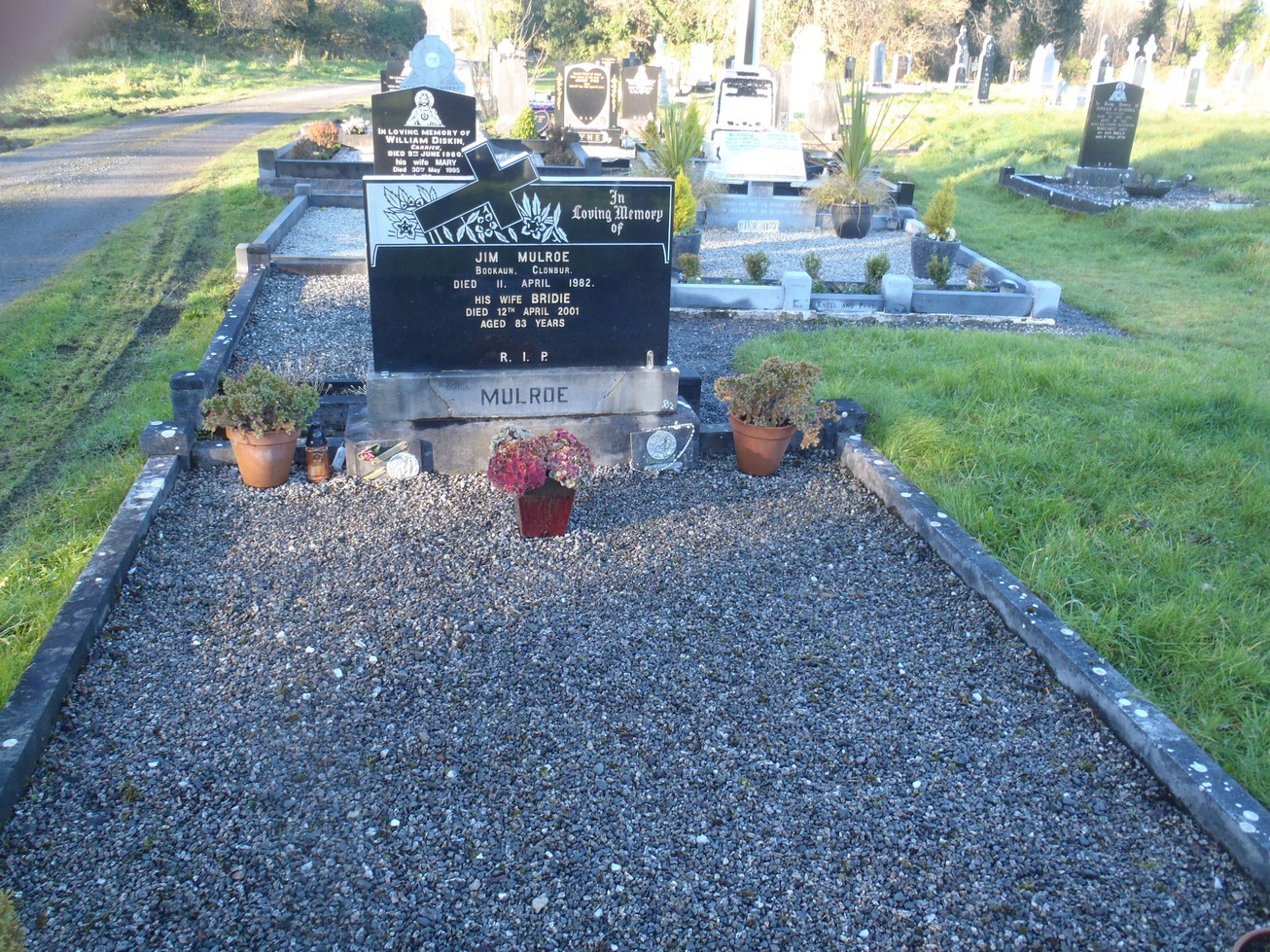Irish Graveyards :: Plot Information