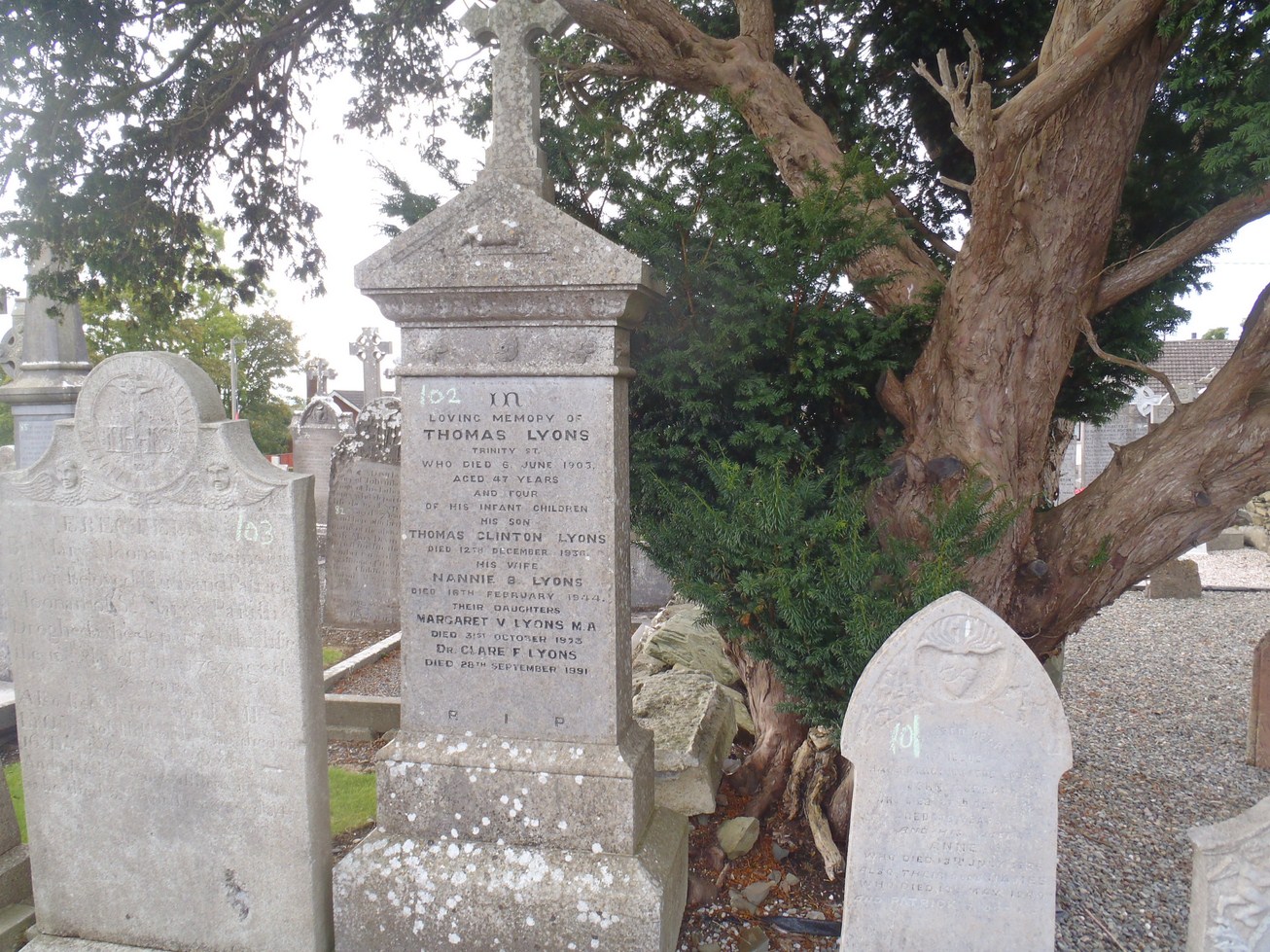 Irish Graveyards :: Plot Information
