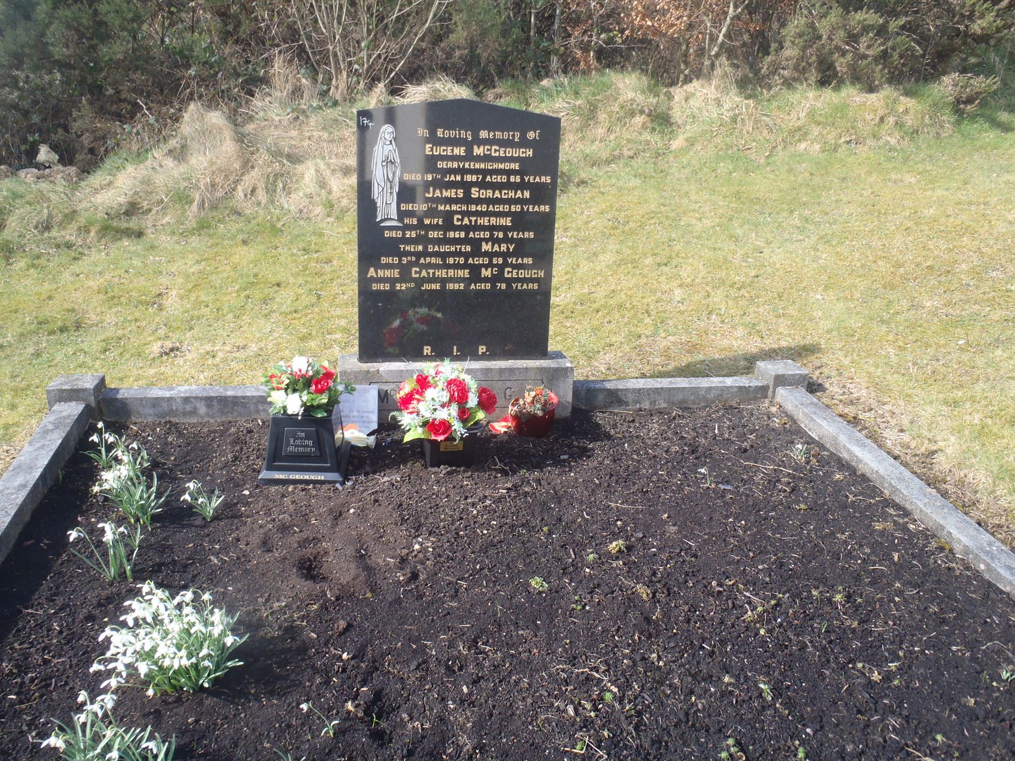 Irish Graveyards :: Plot Information